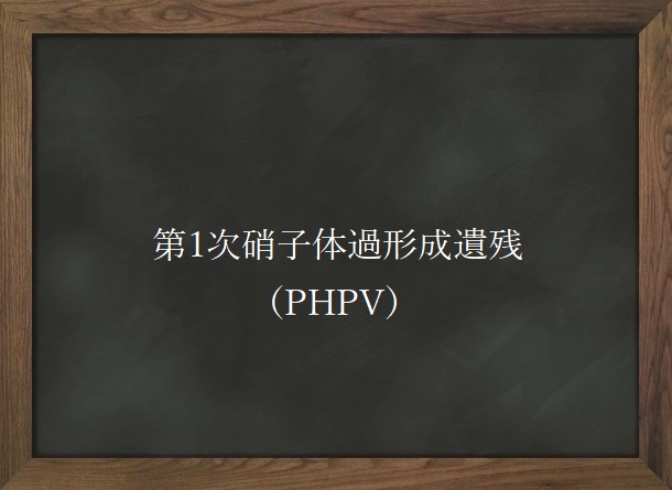 第1次硝子体過形成遺残（PHPV） | オンライン眼科